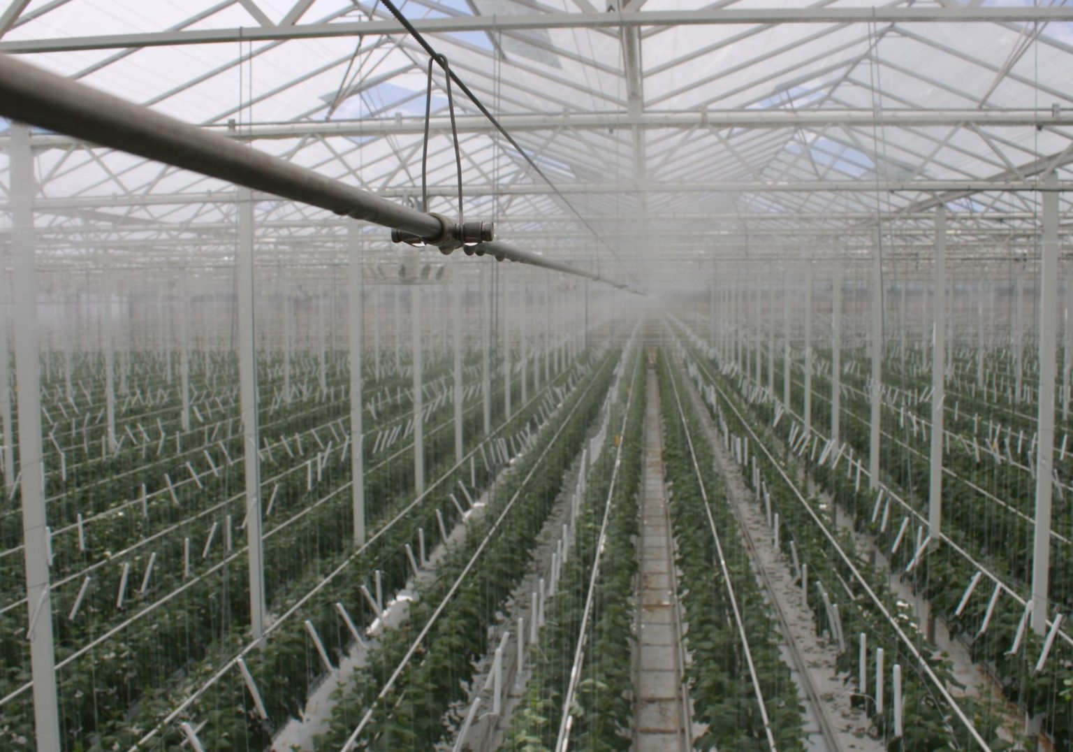 Greenhouse humidification and coolinginnovative technology | Sanfog