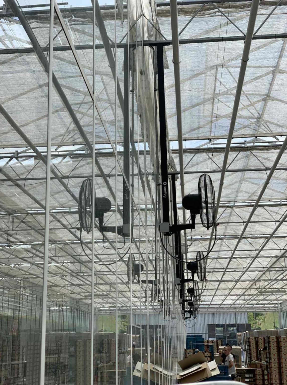Greenhouse humidification and coolinginnovative technology | Sanfog