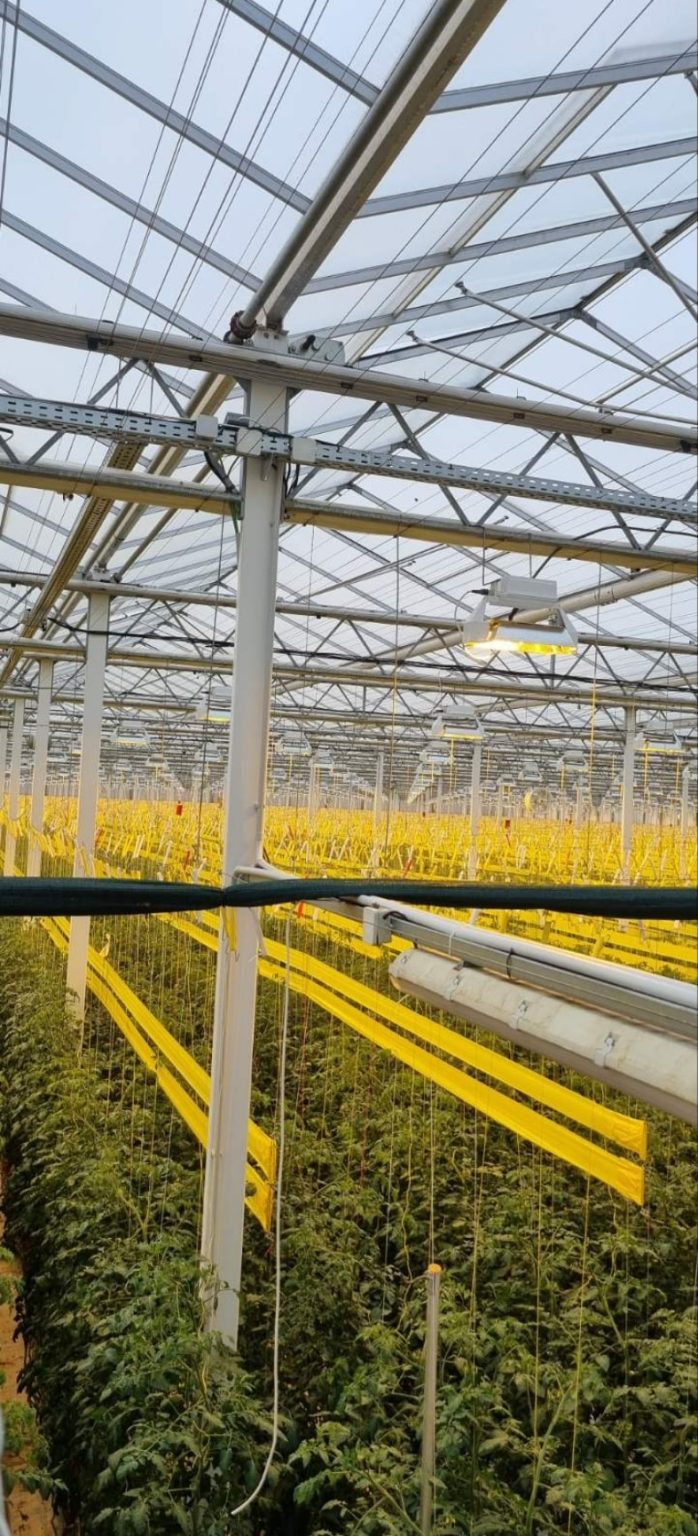 Greenhouse humidification and coolinginnovative technology | Sanfog